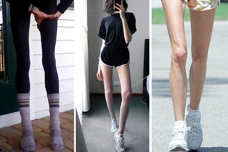 Why The Legs Are Longer Than The Body Why The Legs Are Longer Than The Body